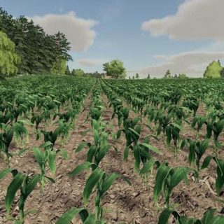 Farming Simulator 22 How to buy Seeds and Grow? | Choose Fertilizing