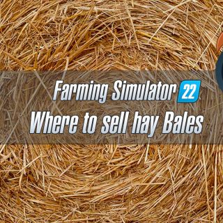 Farming Simulator 22 How to Sell Hay Bales | FS22 Sell Bales