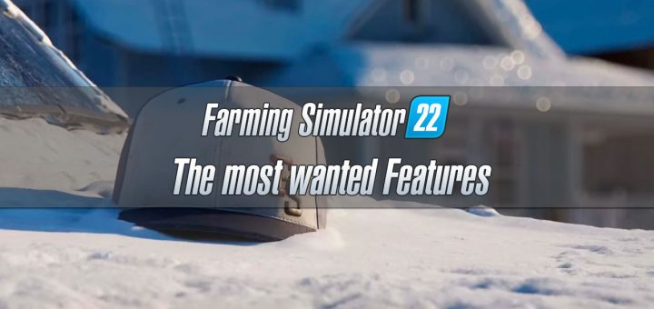 Farming Simulator 22: Developer console (Console commands)