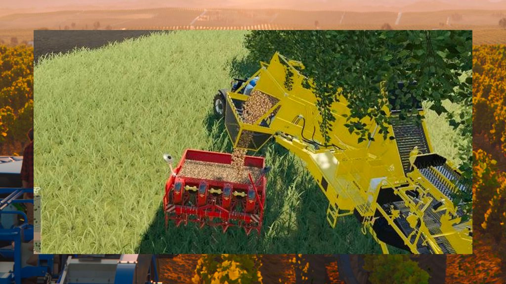 Farming Simulator 22: The guide to potatoes, sugar beets and cotton