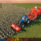 Farming Simulator 22: The guide to potatoes, sugar beets and cotton