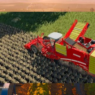 Farming Simulator 22: The guide to potatoes, sugar beets and cotton