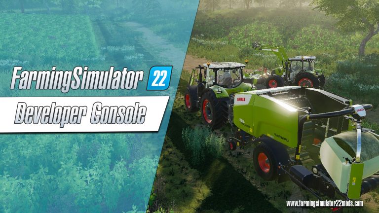Farming Simulator 22: Developer console (Console commands)