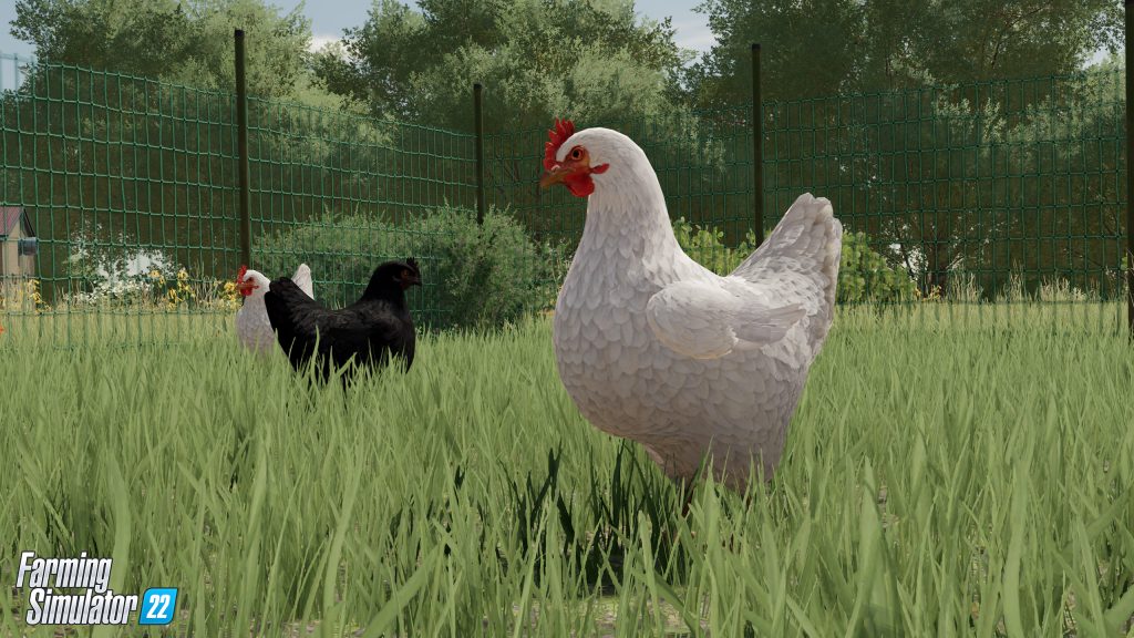 Animals & Wildlife in Farming Simulator 22 | FS22 Animals