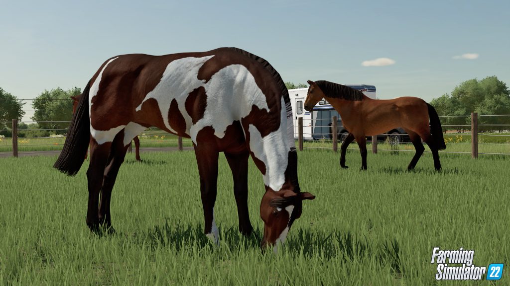 Animals & Wildlife in Farming Simulator 22 | FS22 Animals