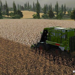 Farming Simulator 22: Where can you sell cotton