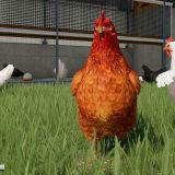 How to feed the chickens in Farming Simulator 22