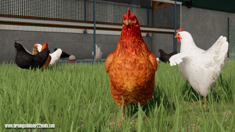 How to feed the chickens in Farming Simulator 22