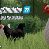 How to feed the chickens in Farming Simulator 22