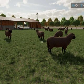 Sheep Barn Big v1.0 FS22 Mod | Farming Simulator 22 Mod