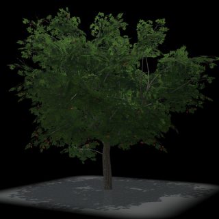 Placeable apple tree V1.1 FS22 Mod | Farming Simulator 22 Mod