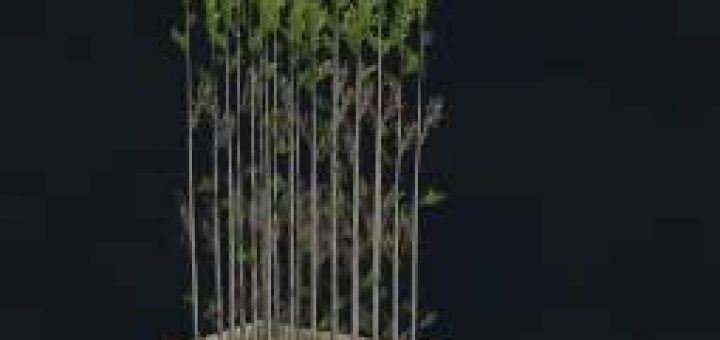 FS22 Objects Mods | Farming Simulator 22 Objects Mods