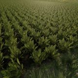 Grow Now v1.0 FS22 Mod | Farming Simulator 22 Mod