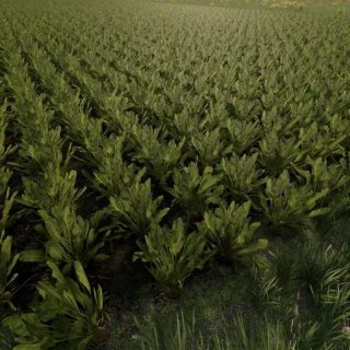 Grow Now v1.0 FS22 Mod | Farming Simulator 22 Mod