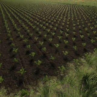 Grow Now v1.0 FS22 Mod | Farming Simulator 22 Mod