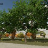 Placeable Orange Tree v1.0 FS22 Mod | Farming Simulator 22 Mod