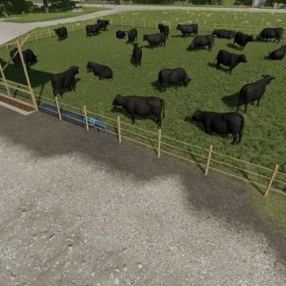 Outdoor Pastures v1.0 FS22 Mod | Farming Simulator 22 Mod