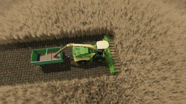 Collect 900 For Sugarcane And Poplar v1.0 FS22 Mod | Farming Simulator ...