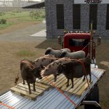 Ricci Slaughterhouse v1.0 FS22 Mod | Farming Simulator 22 Mod