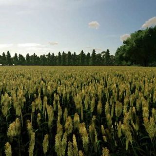 Northern Germany v2.0 FS22 Mod | Farming Simulator 22 Mod