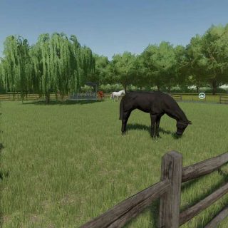 Horse Pasture v1.0.1 FS22 Mod | Farming Simulator 22 Mod