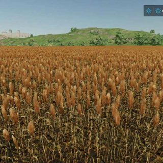 Additional Field Info v1.0.2.1 FS22 Mod | Farming Simulator 22 Mod