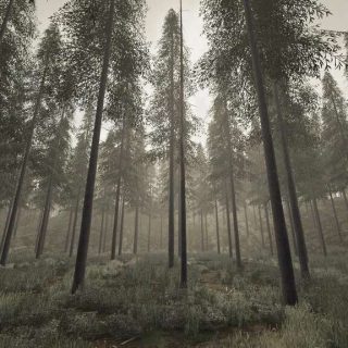 Holmakra 22 Map v1.1 FS22 Mod | Farming Simulator 22 Mod