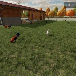 Extra large chicken coop for 10000 animals v1.0 FS22 Mod | Farming ...
