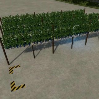 Grape Orchard v1.0 FS22 Mod | Farming Simulator 22 Mod