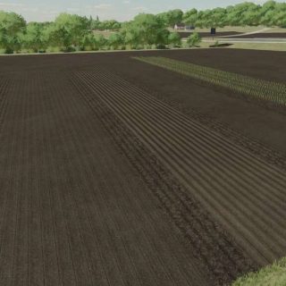 No Need To Roll All Crops v1.1 FS22 Mod | Farming Simulator 22 Mod