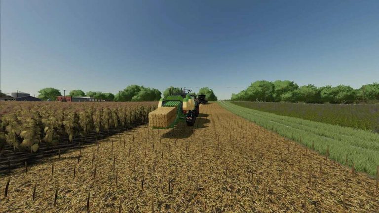 Extended Straw Crops v1.0 FS22 Mod | Farming Simulator 22 Mod