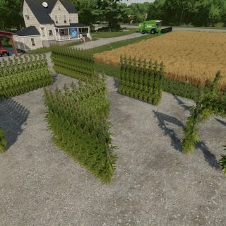 DIY Cannabis Maze v1.0 FS22 Mod | Farming Simulator 22 Mod