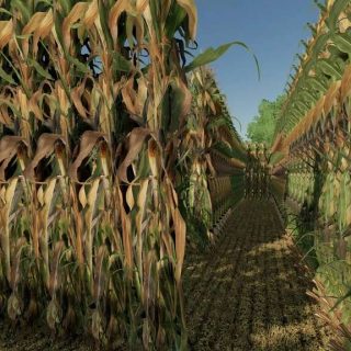 DIY Corn Maze v1.0 FS22 Mod | Farming Simulator 22 Mod