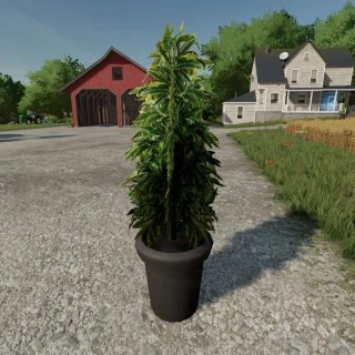 Cannabis Plants Pack v1.0 FS22 Mod | Farming Simulator 22 Mod