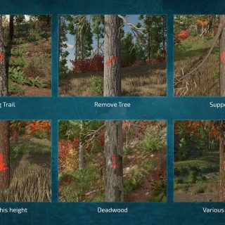 Platinum Preview: Tree Marking Sprays & Signs Mod | Farming Simulator ...