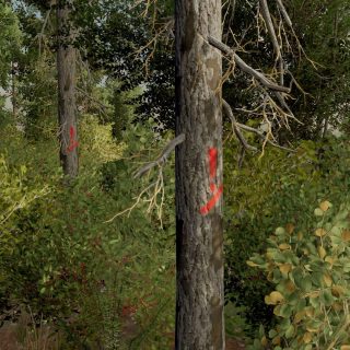 Platinum Preview: Tree Marking Sprays & Signs Mod | Farming Simulator ...
