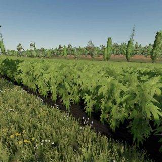 Across The Ditch v1.0 FS22 Mod | Farming Simulator 22 Mod