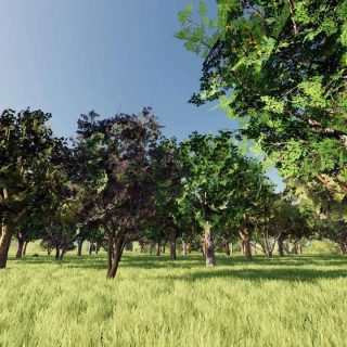 Fruit Orchard v1.0 FS22 Mod | Farming Simulator 22 Mod