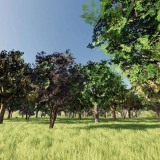 Fruit Orchard v1.0.0.1 FS22 Mod | Farming Simulator 22 Mod