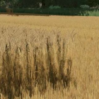 Real plant textures v1.0 FS22 Mod | Farming Simulator 22 Mod