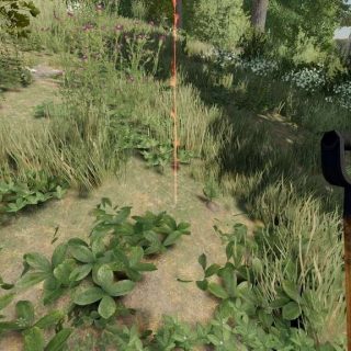 Hand Plant Saplings v1.0 FS22 Mod | Farming Simulator 22 Mod