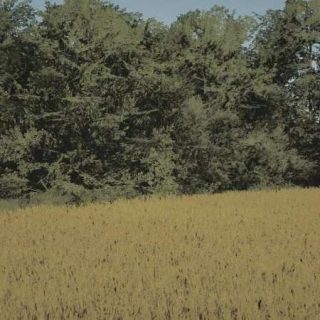 Shaders v1.0 FS22 Mod | Farming Simulator 22 Mod