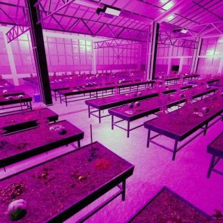 Industrial Greenhouse v3.1.1 FS22 Mod | Farming Simulator 22 Mod