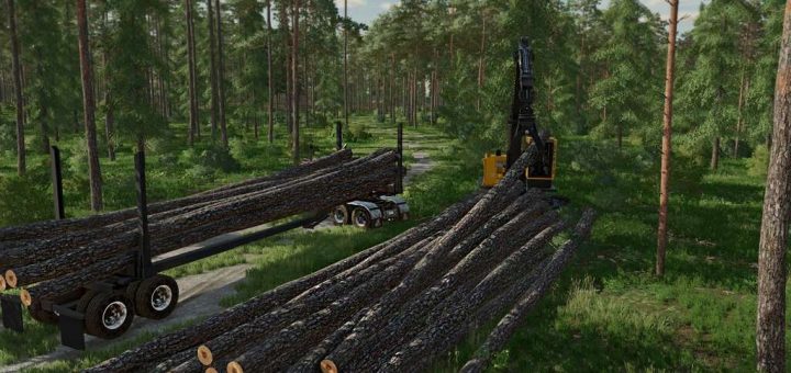 Pole Trailer Mods | Farming Simulator 22 Mods