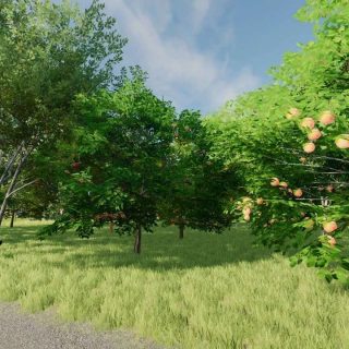 Fruit Orchard v2.0 FS22 Mod | Farming Simulator 22 Mod