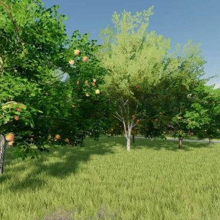 Fruit Orchard v2.0 FS22 Mod | Farming Simulator 22 Mod