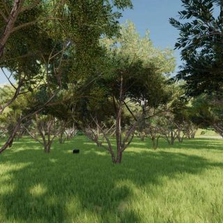 Fruit Orchard v2.0 FS22 Mod | Farming Simulator 22 Mod