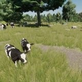 Rogatki Edit (Multifruit and Production) v1.0 FS22 Mod | Farming ...