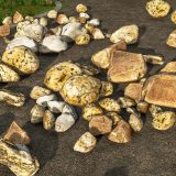 Dynamic Rocks V1.0 FS22 Mod | Farming Simulator 22 Mod