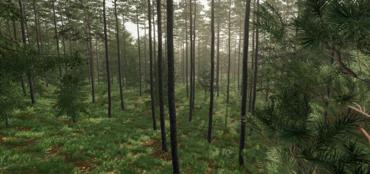 Rogatki Map v1.0.0.1 FS22 Mod | Farming Simulator 22 Mod